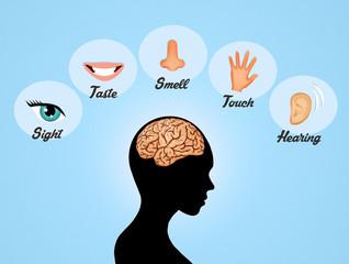 Astounding 5 senses of learning - Blooming early years